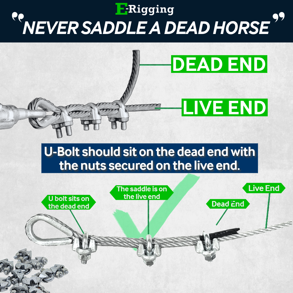 Wire Rope Clips | Stainless Steel, Drop Forged & Galvanized