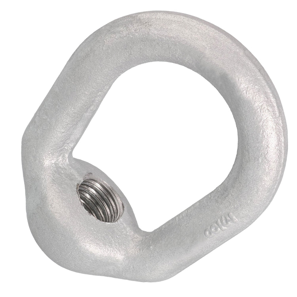 1-1/4" Hot Dipped Galvanized Eye Nut